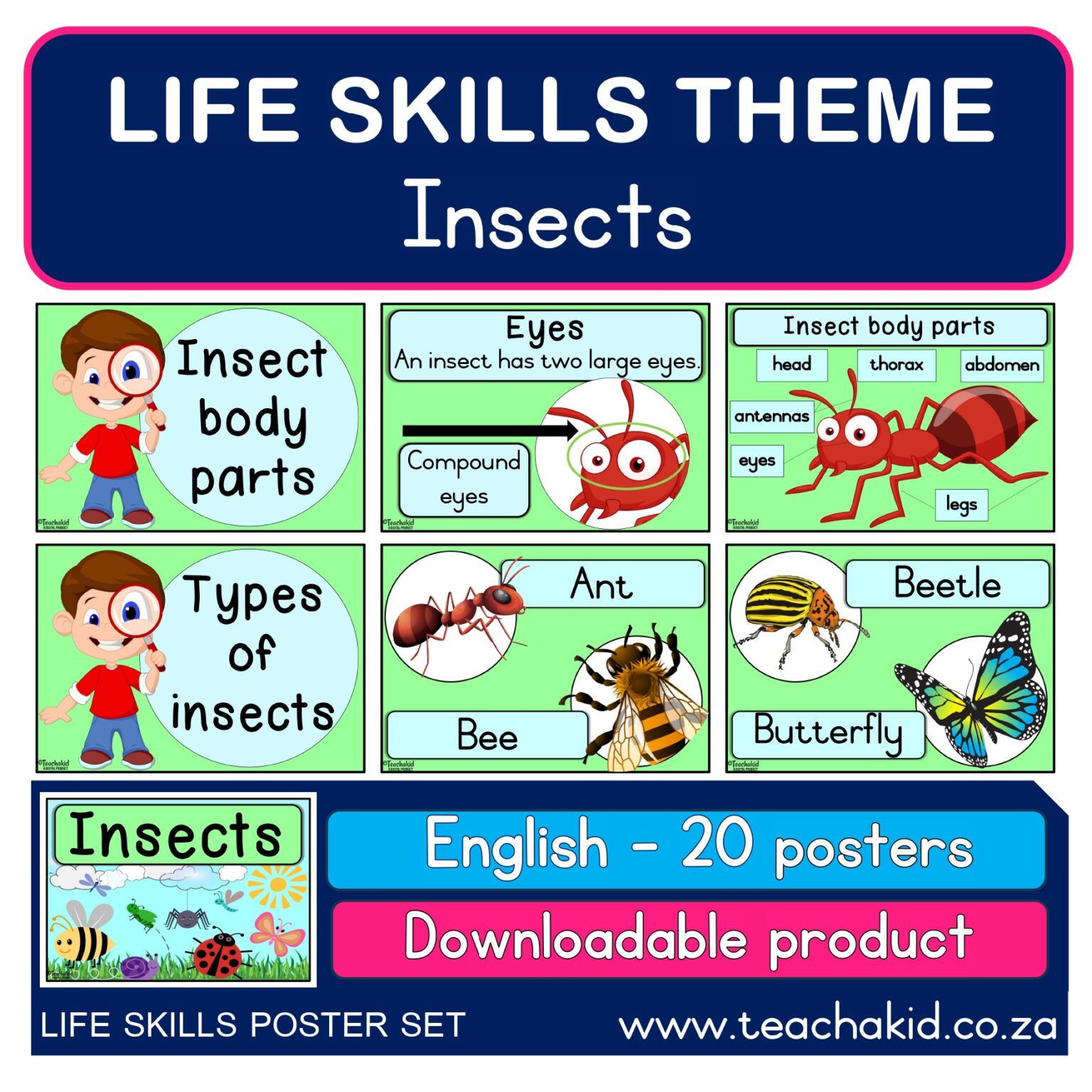Life Skills posters Insects (PDF) - Teachakid