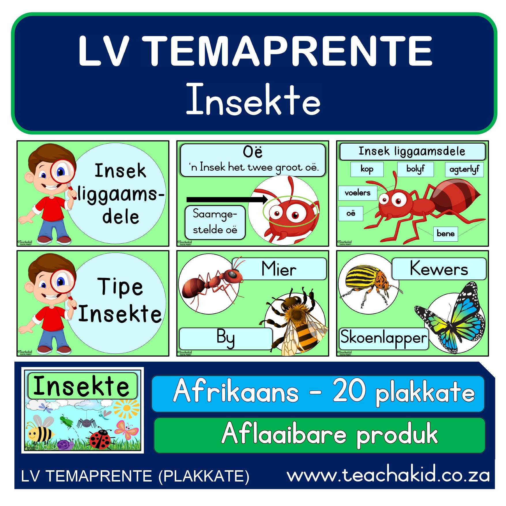 Temaprente Insekte (PDF) - Teachakid