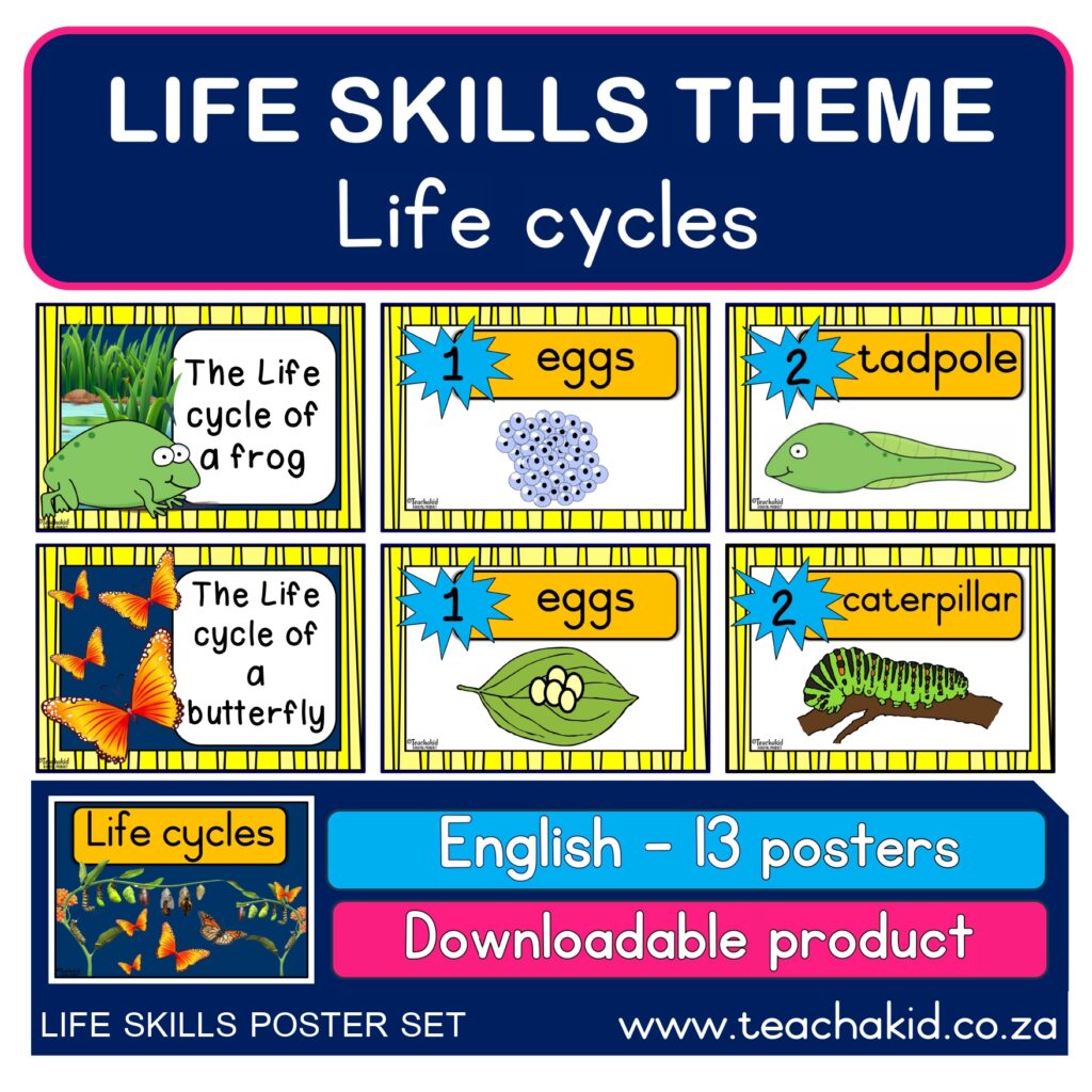 Life Skills posters Life Cycles (PDF) - Teachakid