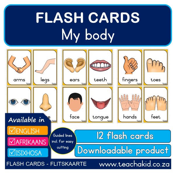 My body – flash cards (PDF) - Teachakid
