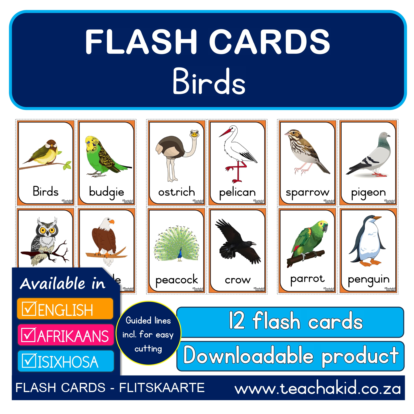 Birds – flash cards (PDF) - Teachakid