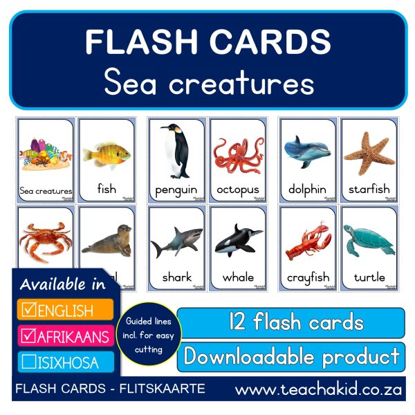 Sea creatures – flash cards (PDF) - Teachakid