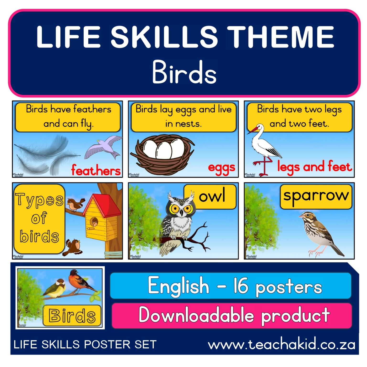 Life Skills posters Birds (PDF) - Teachakid