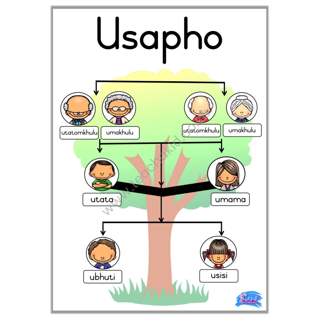 Family tree with labels in Xhosa – poster (printed) - Teachakid