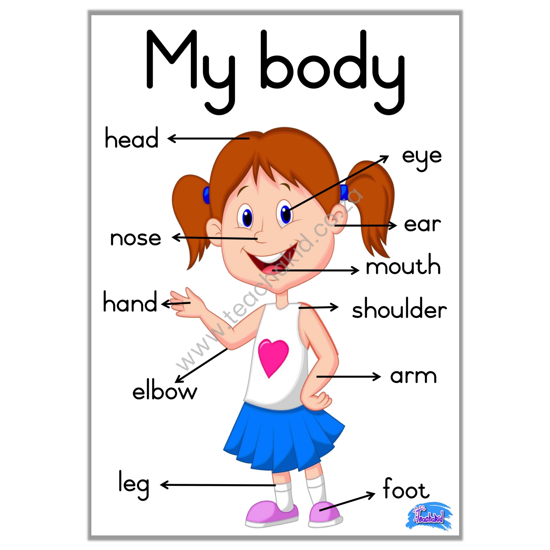 My body 02 – poster (printed) - Teachakid