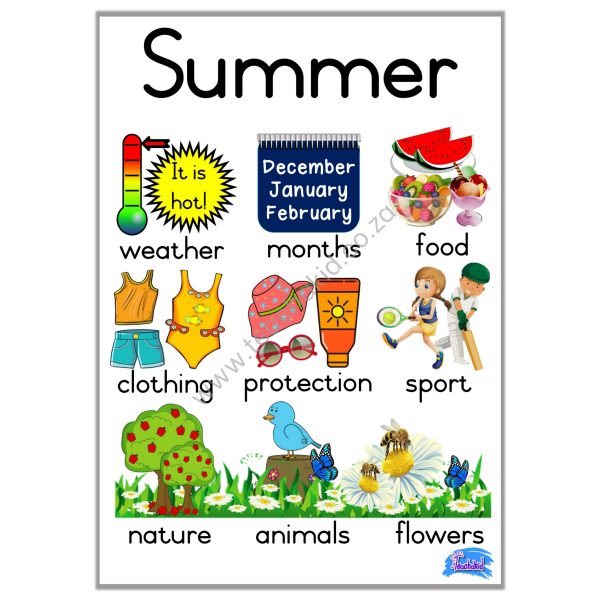 Summer – poster (printed) - Teachakid