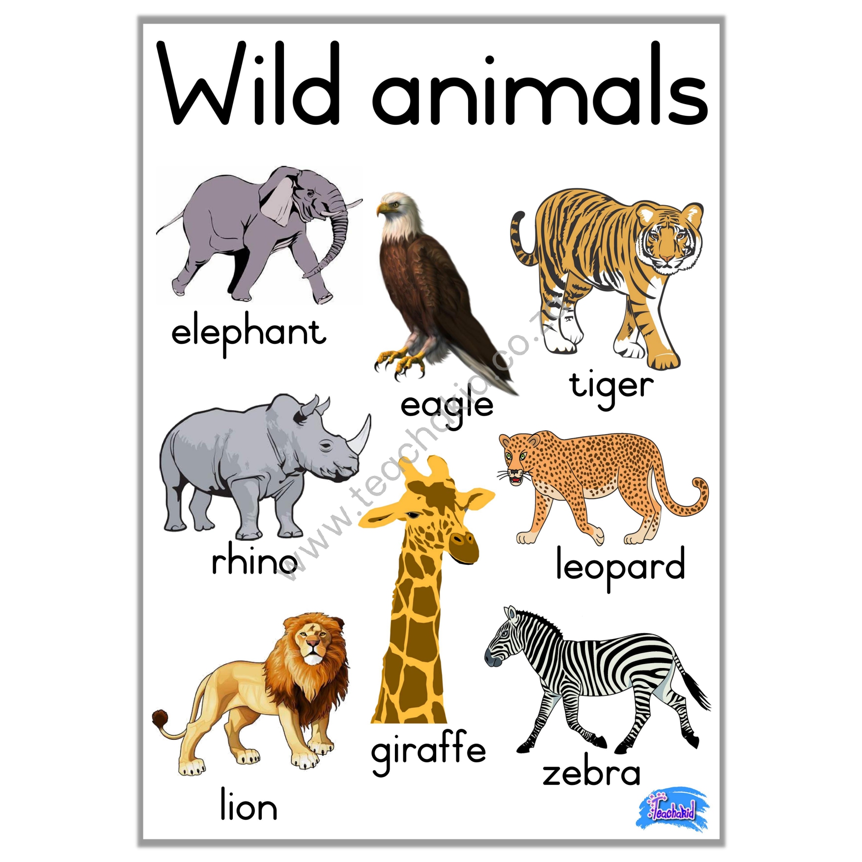 Wild animals – poster (printed) - Teachakid